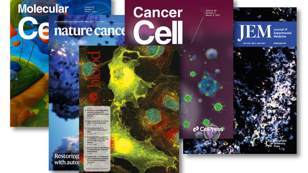 Institute for Cancer Genetics | Vagelos College of Physicians and Surgeons