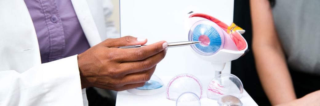 Digital Reference of Ophthalmology | Vagelos College of Physicians and ...