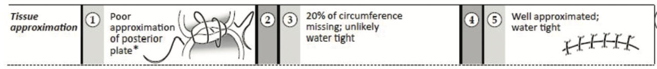 Anatomic Module: Vesicourethral Anastomosis | Vagelos College of ...