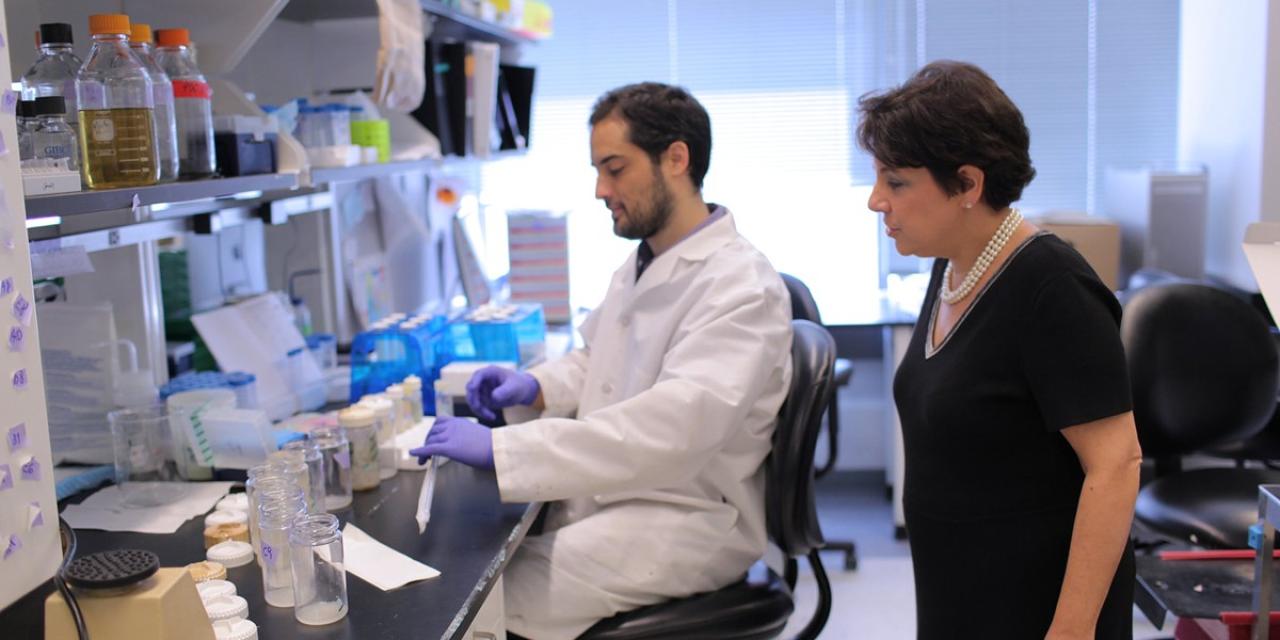 Basic Science Research | Vagelos College of Physicians and Surgeons