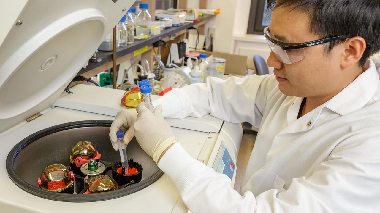 PhD in Nutrition and Metabolic Biology | Vagelos College of Physicians ...