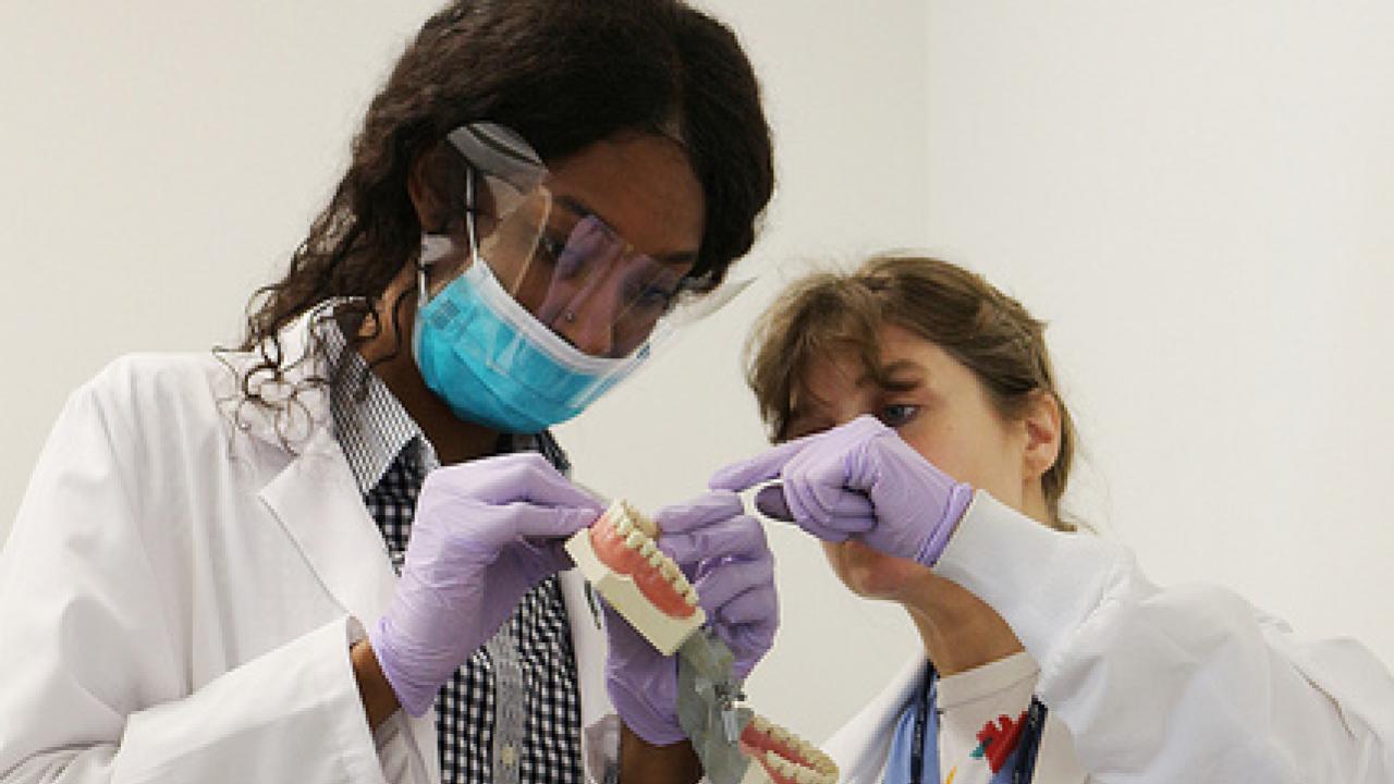 SHPEP Eligibility & How to Apply | Vagelos College of Physicians and ...