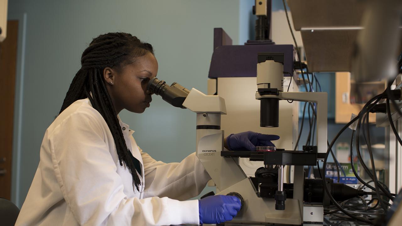 Academic Programs | Vagelos College of Physicians and Surgeons