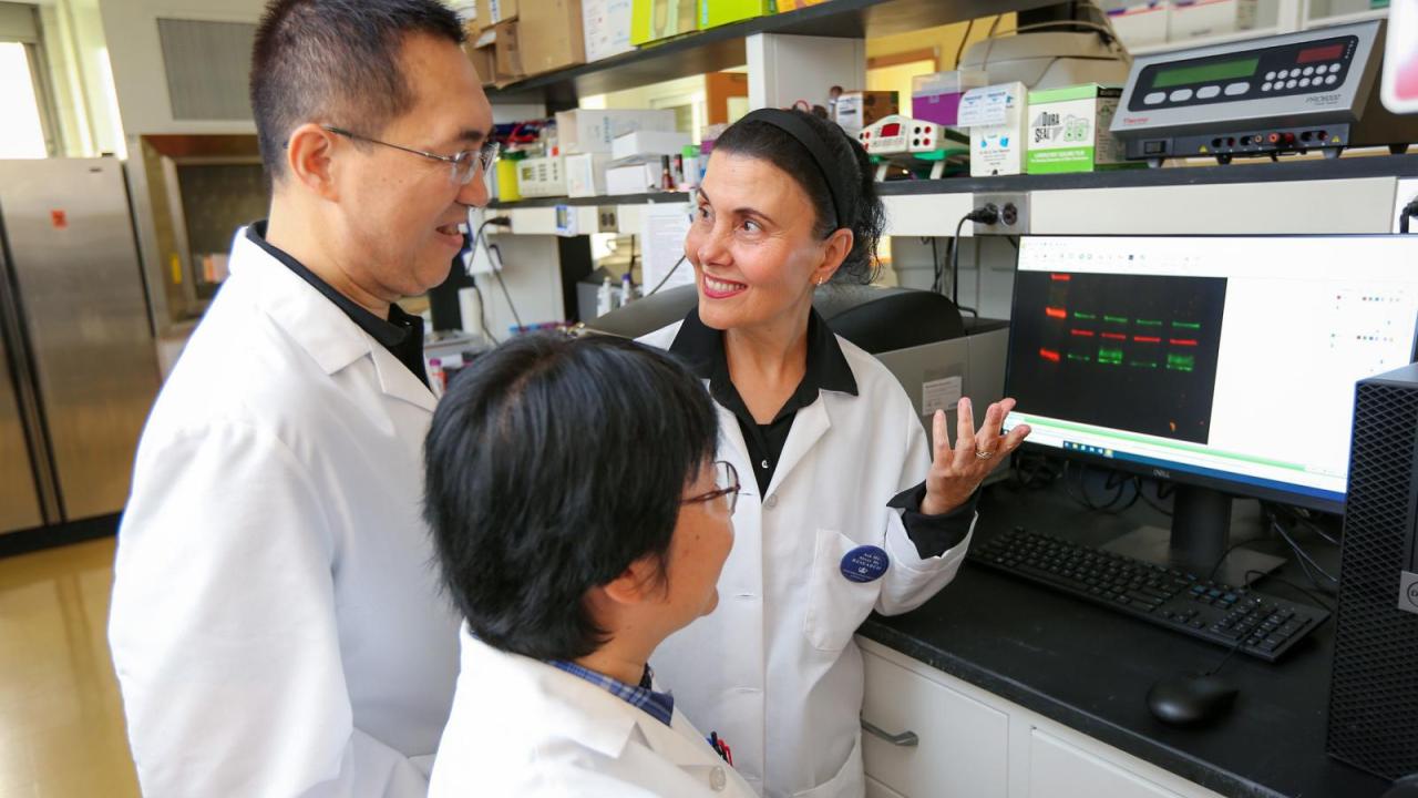 Tezel Lab | Department of Ophthalmology | Vagelos College of Physicians ...