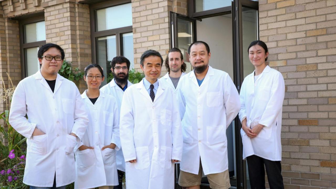 Dr. Xin Zhang Named the New Vision Science Research Director at CUIMC | Vagelos College of ...