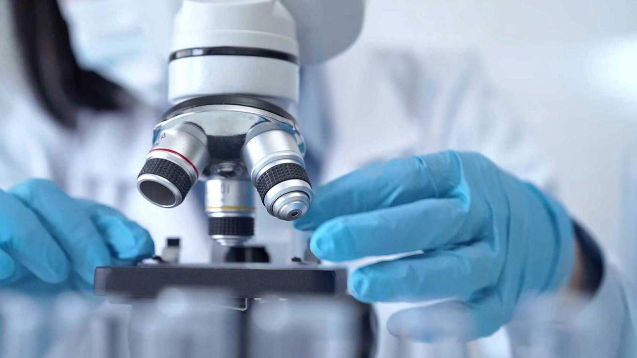 Mamonkin Lab | Vagelos College of Physicians and Surgeons