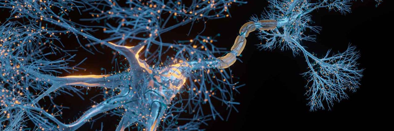 Neuroscience | Vagelos College of Physicians and Surgeons