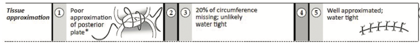 Anatomic Module: Vesicourethral Anastomosis | Vagelos College of ...