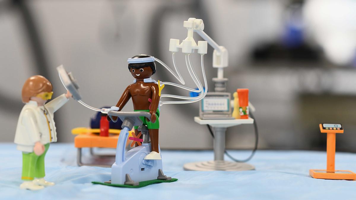 Rao Lab | Vagelos College of Physicians and Surgeons