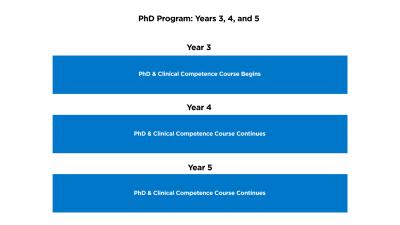 PhD Program | Vagelos College of Physicians and Surgeons