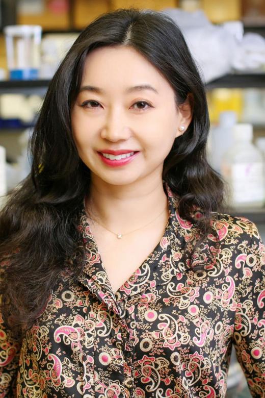 Tingting Yang, PhD | Vagelos College of Physicians and Surgeons
