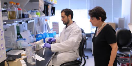 Basic Science Research | Vagelos College of Physicians and Surgeons