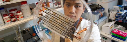 MD-PhD Dual Degree Program | Vagelos College of Physicians and Surgeons