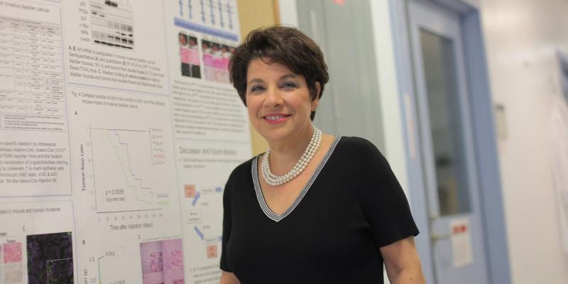 Dr. Cory Abate-Shen to Join the AARC Board of Directors | Vagelos ...