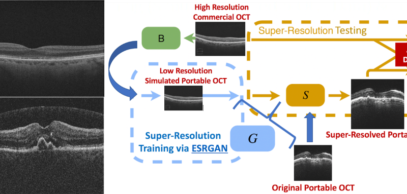 Portability | Vagelos College of Physicians and Surgeons